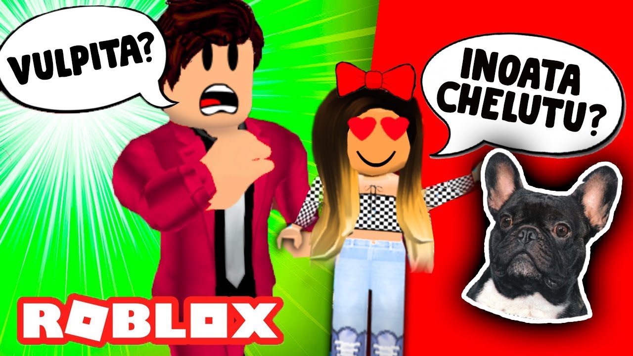 INOATA CHELUTU sau VULPITA ? Ce ALEGI ? - YouTube
