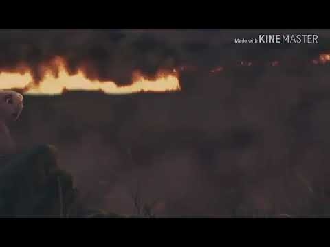 Kiara's death - YouTube
