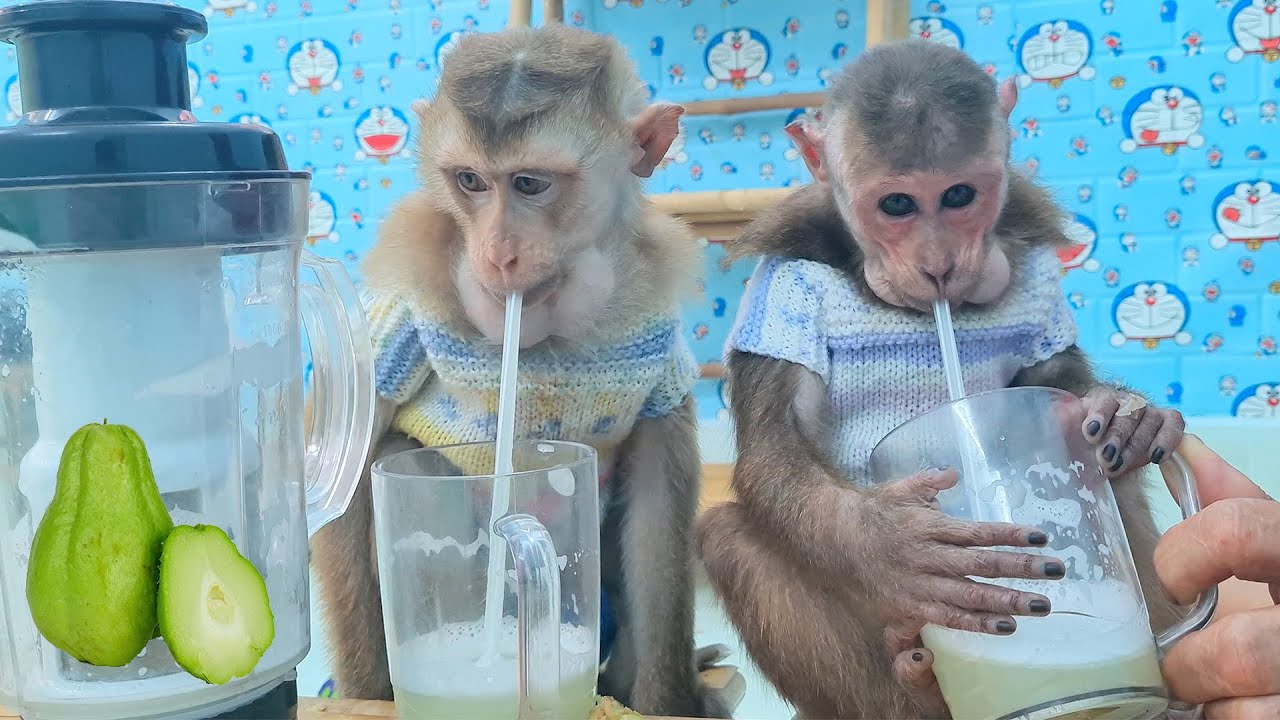 Sam boy & Asher enjoy chayote juice - YouTube