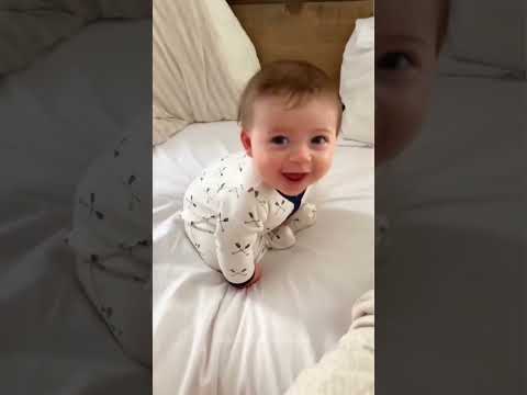 Part 17 | Funny baby videos #funnybaby babiesoftiktok #cutebaby