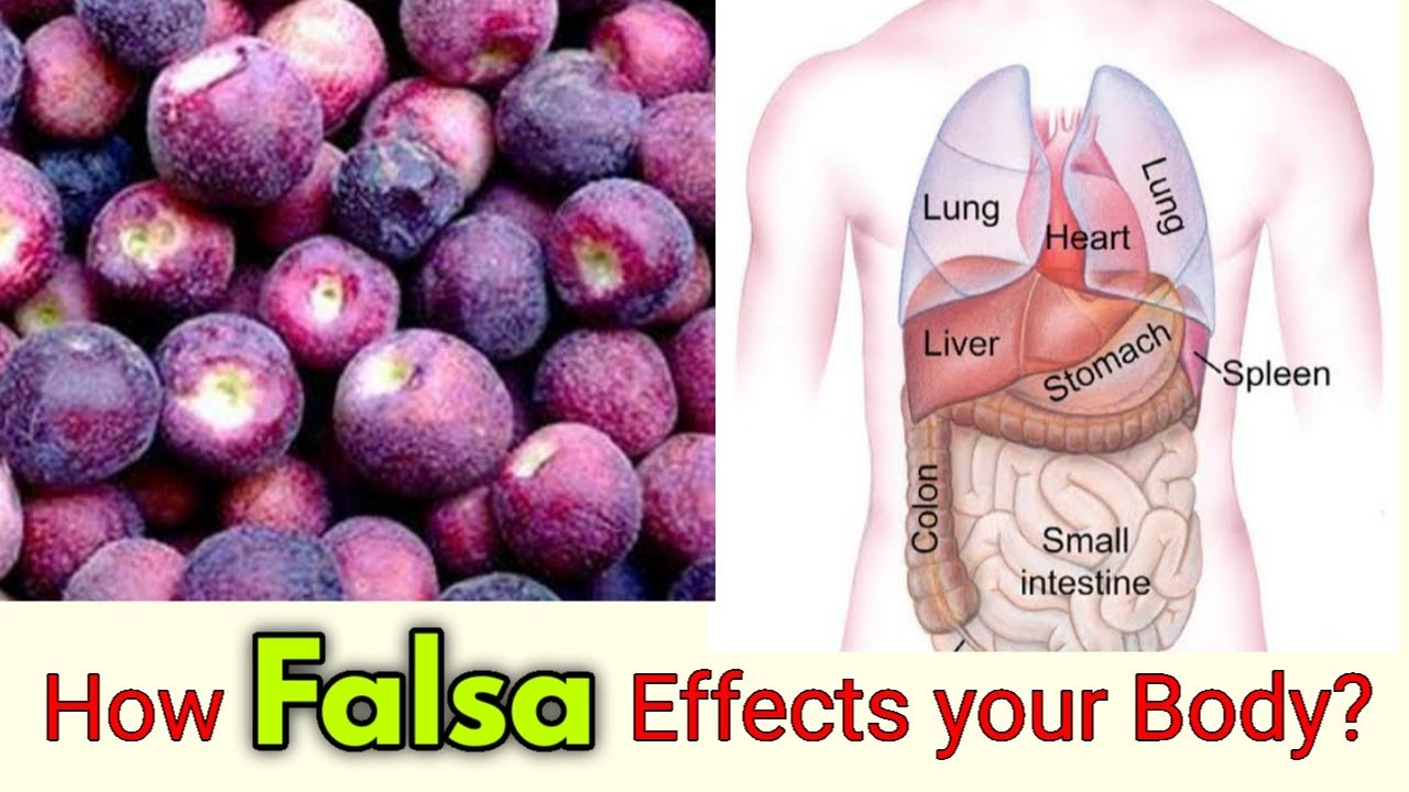 How Falsa Effects Your Body || Benefits of Falsa Juice| Grewia asiatica ...