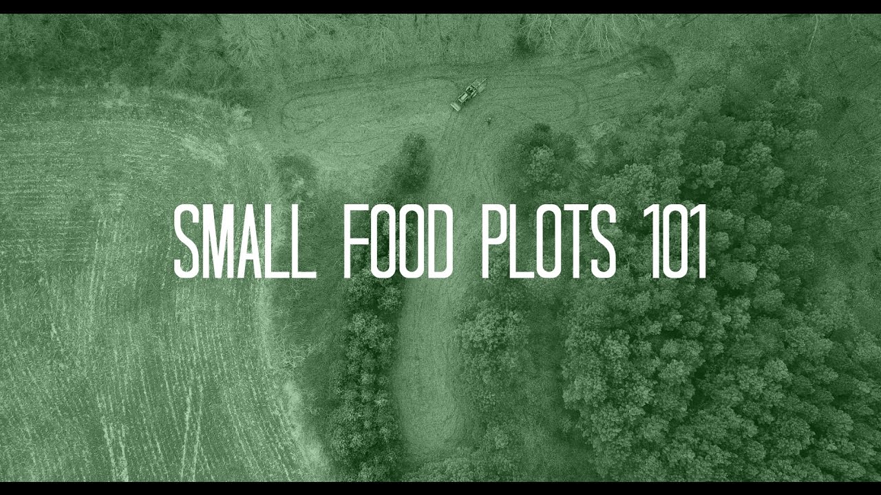 Food Plots 101 | Small Food Plots - YouTube