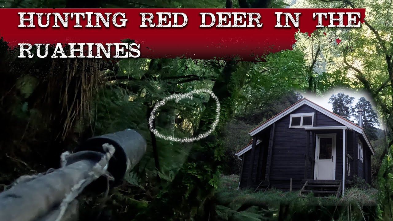 Bush Hunting Red Deer in the Ruahine Ranges - YouTube