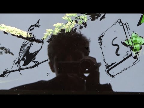 the songbird & the bookworm