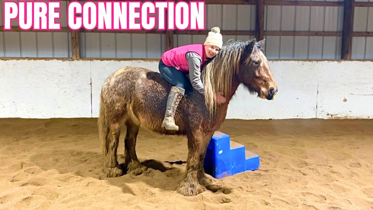 No Ropes, No Halter, No Force! Incredible Training Session With My ...