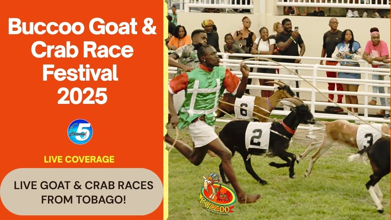 Buccoo Goat & Crab Race Festival 2025 – Tobago, Trinidad & Tobago - YouTube