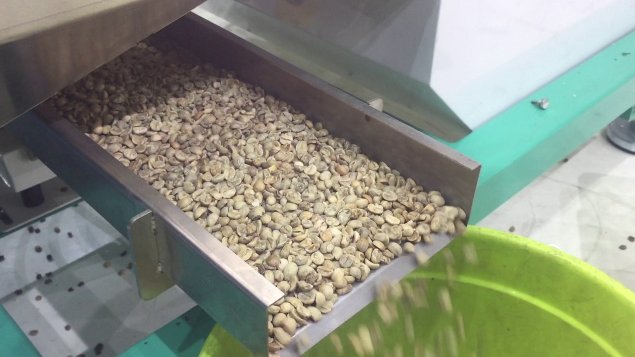 mini color sorter sorting coffee beans - YouTube
