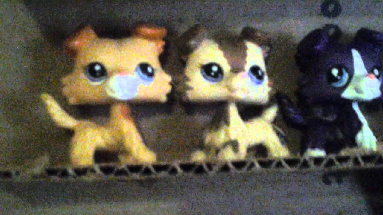 My lps collection 284 - YouTube