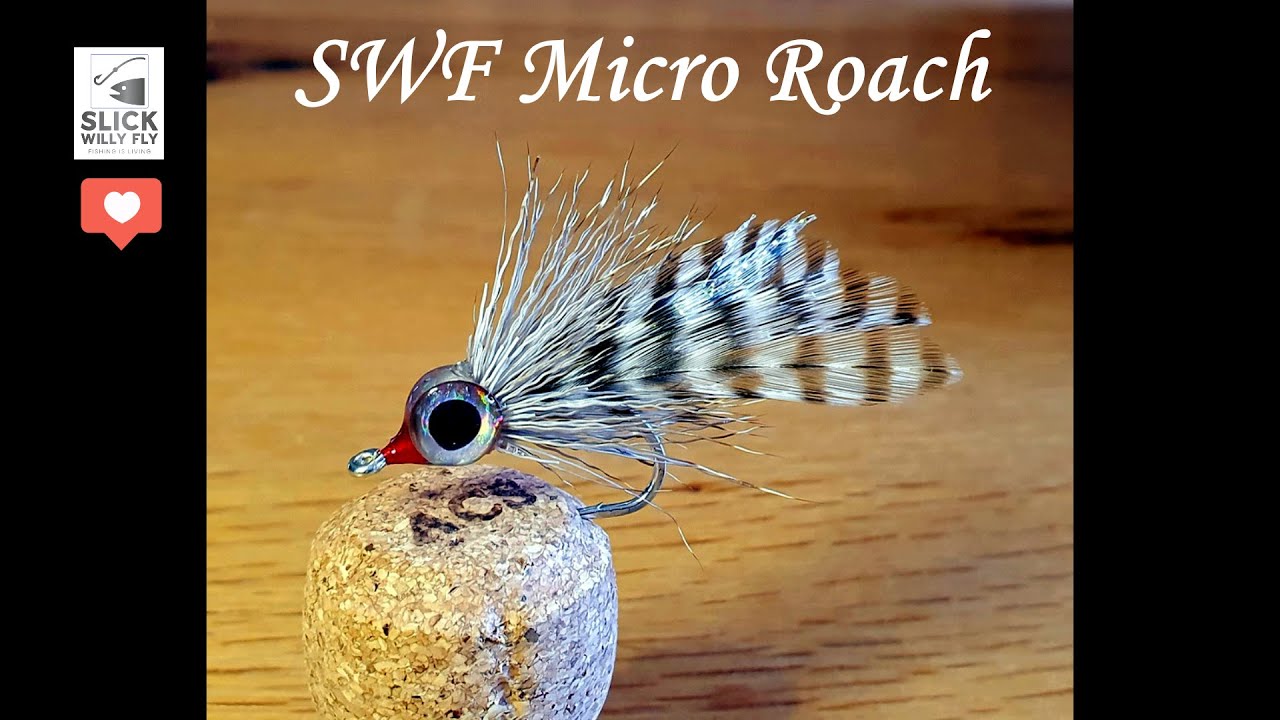 SWF Micro Roach - YouTube
