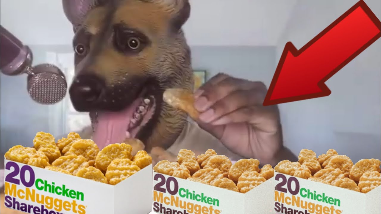 ASMR dog chicken nuggets challenge | Hungry Mask - YouTube