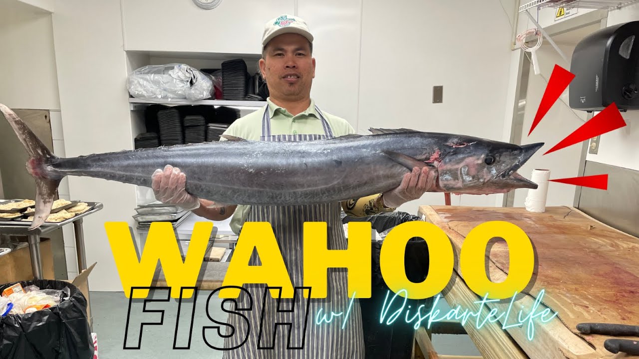 Cutting Wahoo Fish... (MUKHA SIYANG TAMBAKOL!) - YouTube