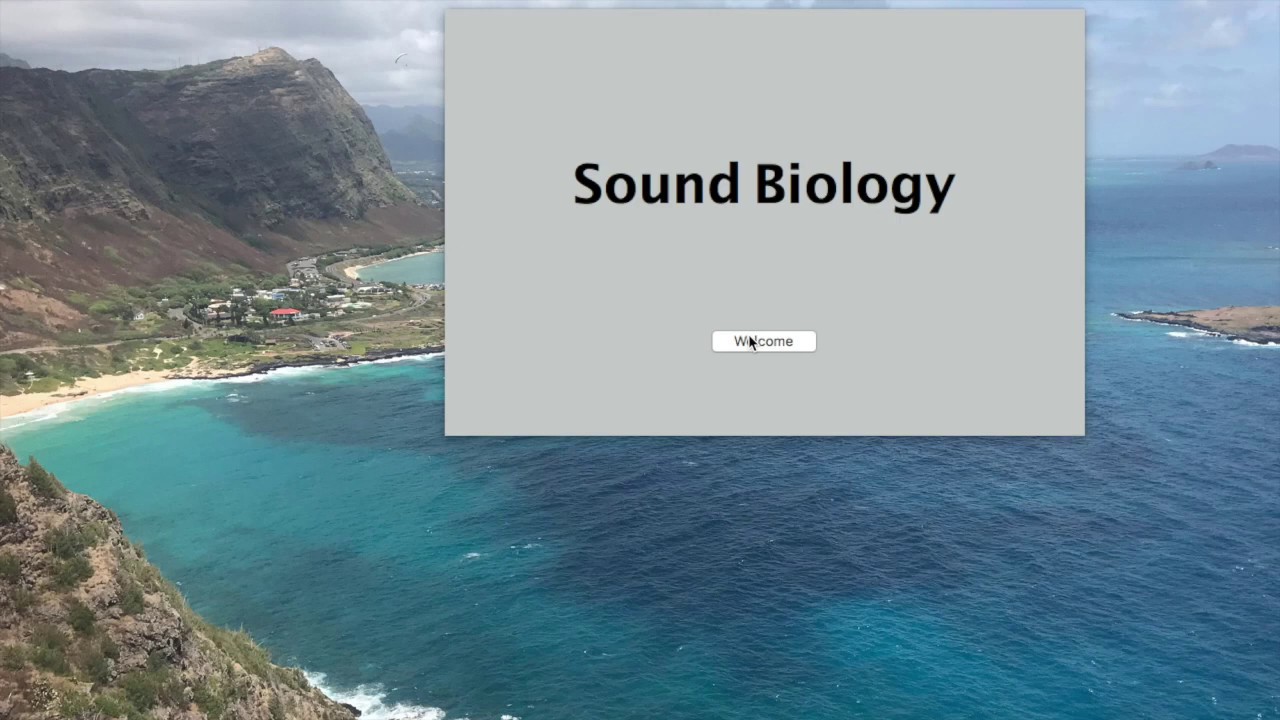 Coding DNA into Music - YouTube