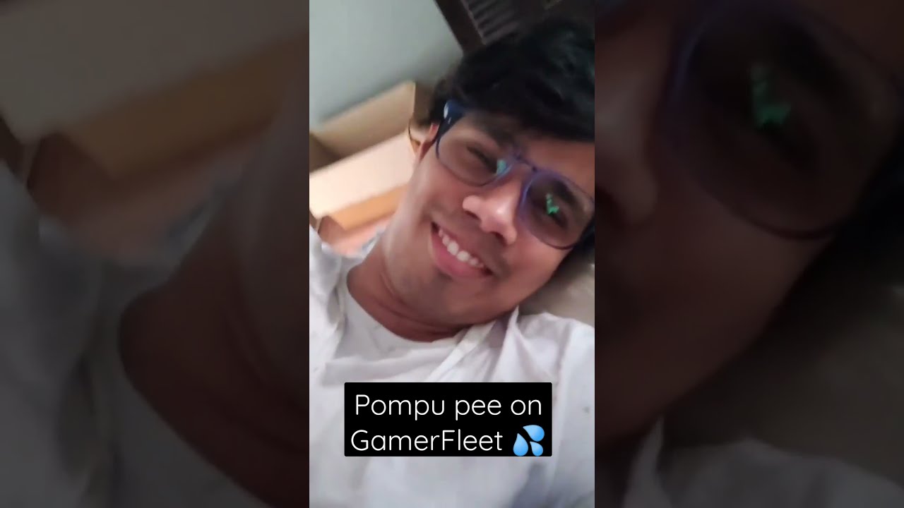 Pompu pee on GamerFleet | #shorts #GamerFleet #GamerFleetshorts #dog ...
