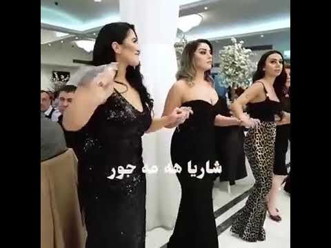 güzel halay devam