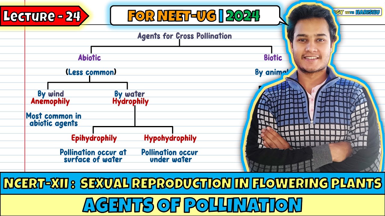 Lec 24- Agents of Pollination | Sexual Reproduction in Flowering Plants ...