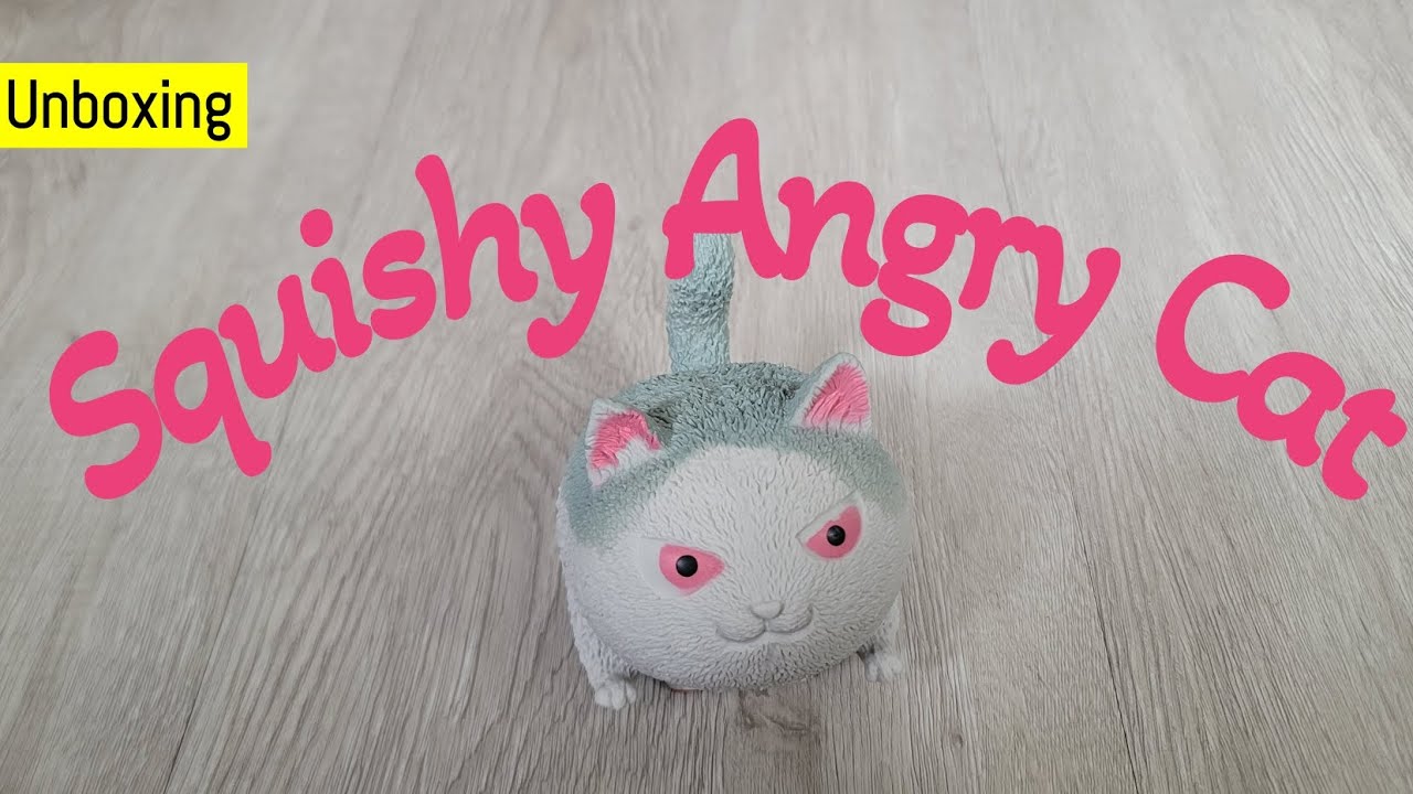 Unboxing Squishy Angry Cat Fidget Toy - YouTube