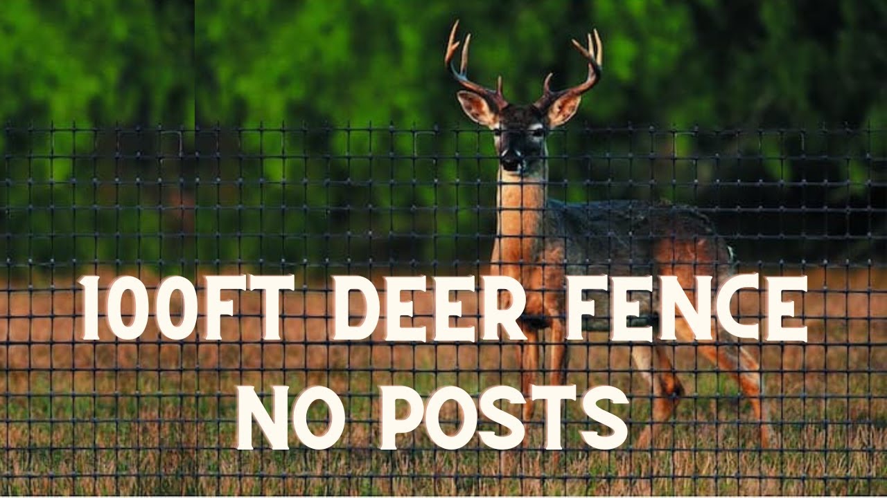 100ft Deer Fence - NO POSTS - YouTube