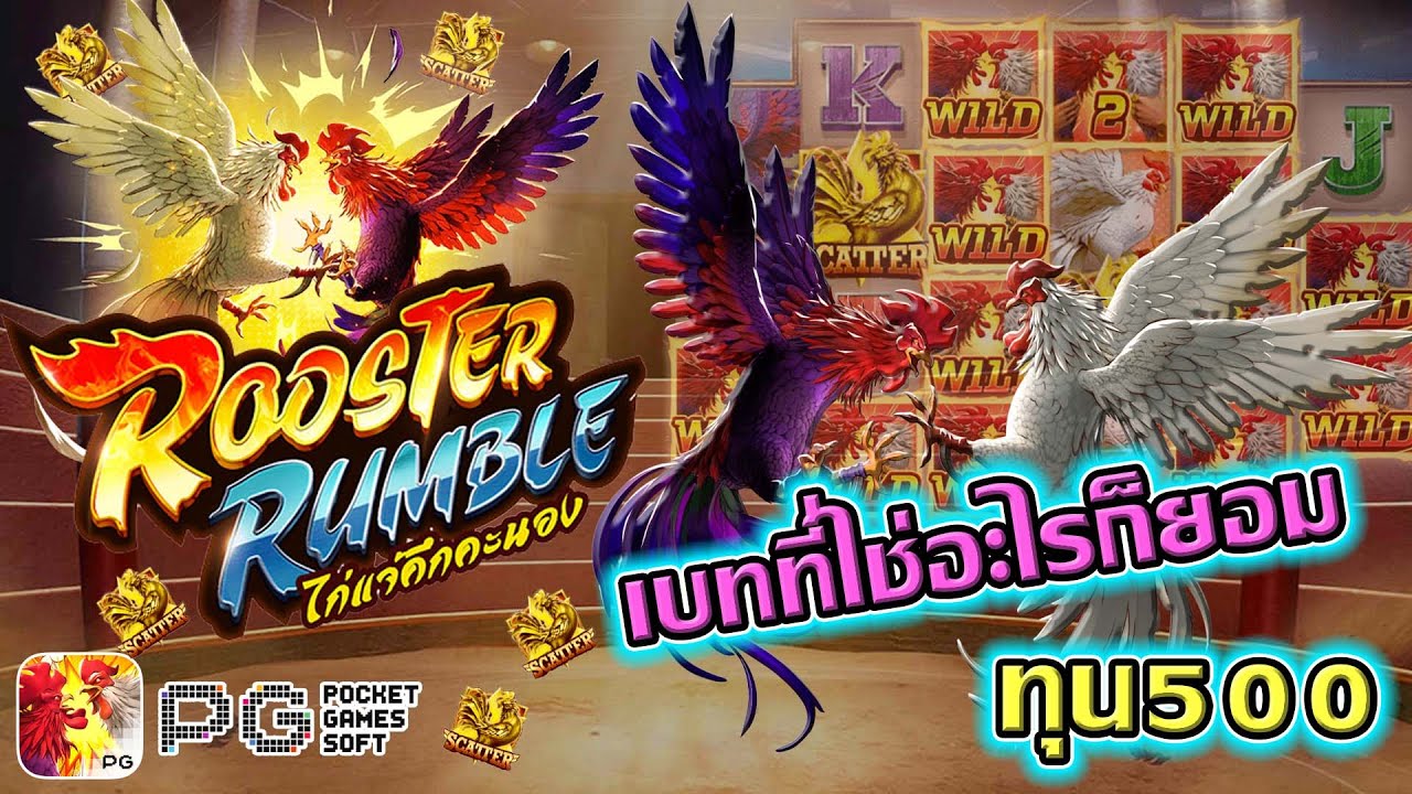 Rooster Rumble│ไก่ชนพีจี เบทที่ใช่อะไรก็ยอม ทุน500 - YouTube