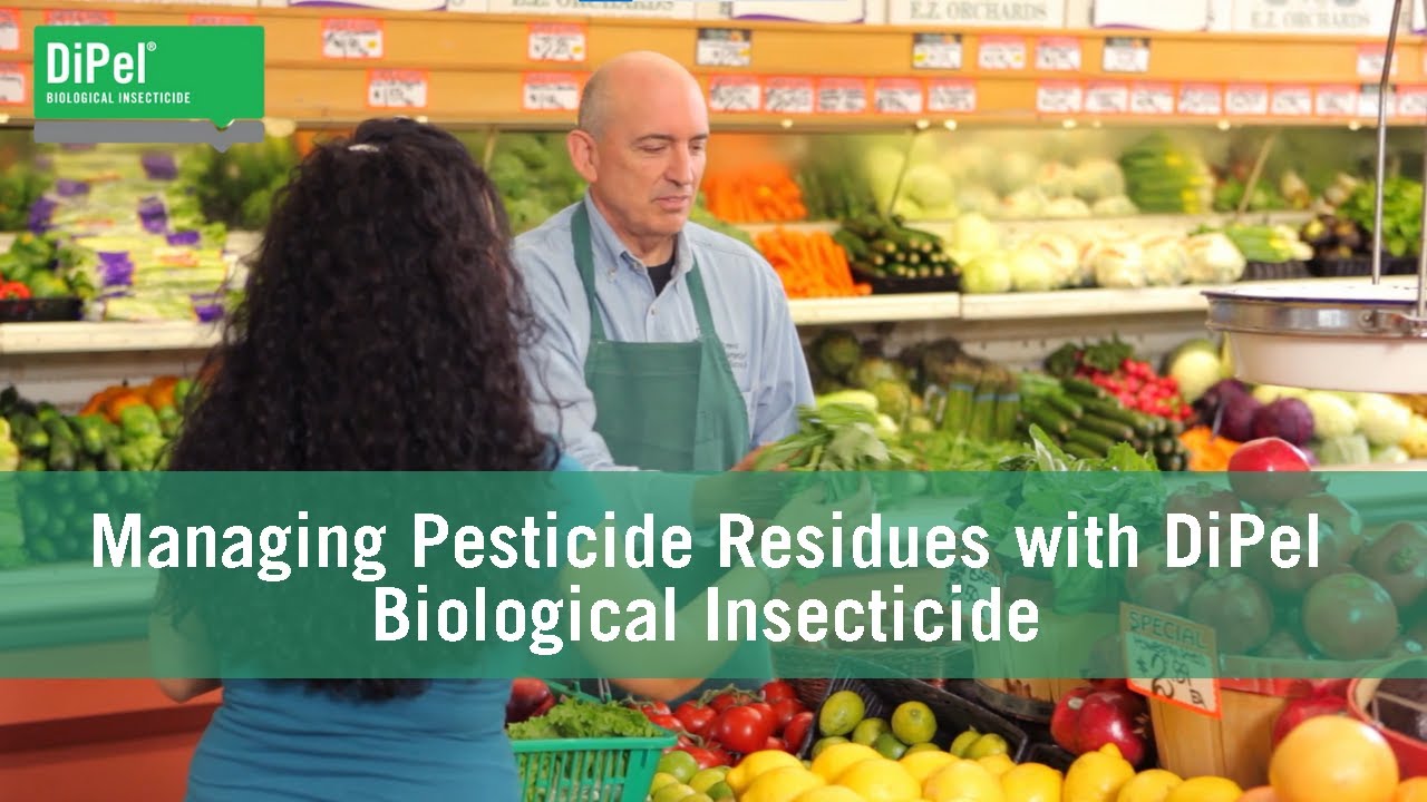 Managing Pesticide Residues with DiPel Biological Insecticide - YouTube