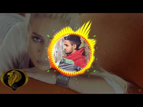 Ceylan Koynat Yasak ( Remix )