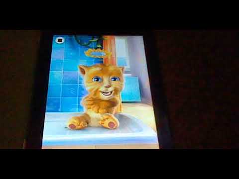 Talking ginger feel touch again - YouTube
