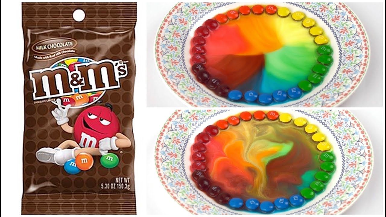 DIY m&m's Rainbow Experiment | How to make M&M Rainbow - YouTube