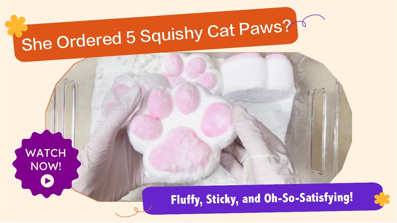 She Ordered 5 Squishy Cat Paws?! Fluffy, Sticky, and Oh-So-Satisfying ...