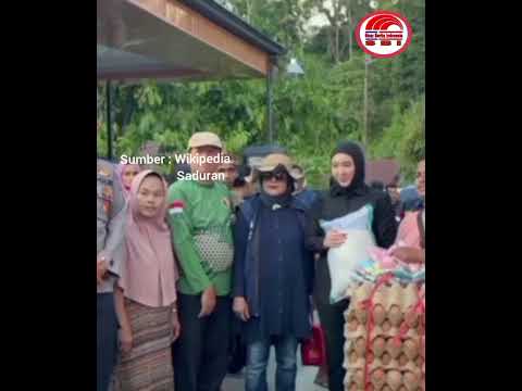 Sosok Cindy Monica Salsabila Anggota DPR RI Komisi II Partai Nasdem