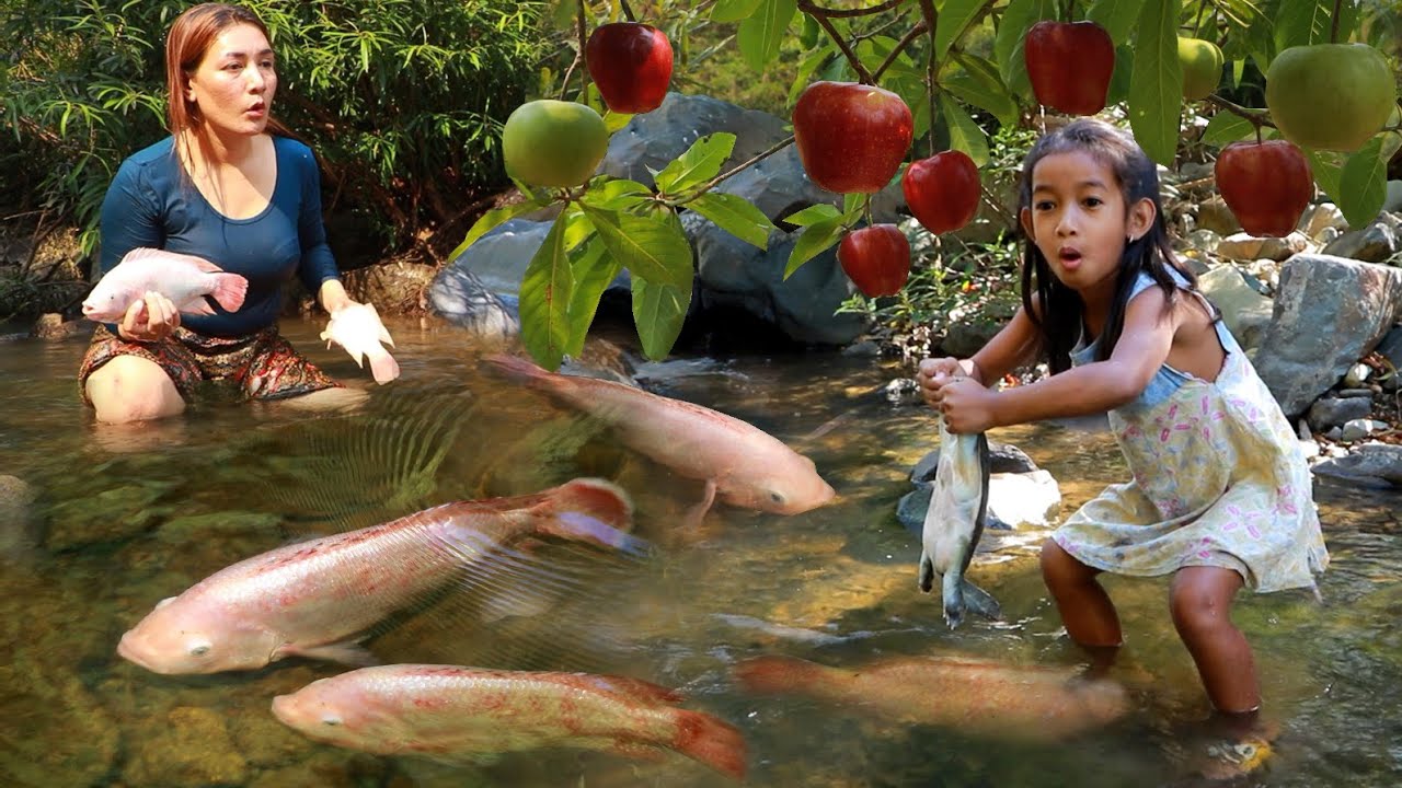Pick sweet mango &Catch Turtle and fish in river-Cooking Turtle soup ...