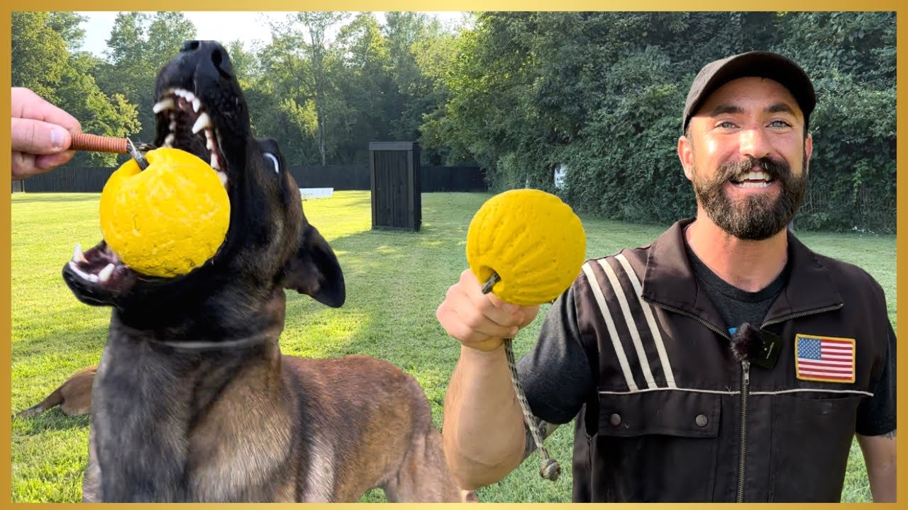 EXHAUST Your DOG With This SIMPLE GAME! - YouTube