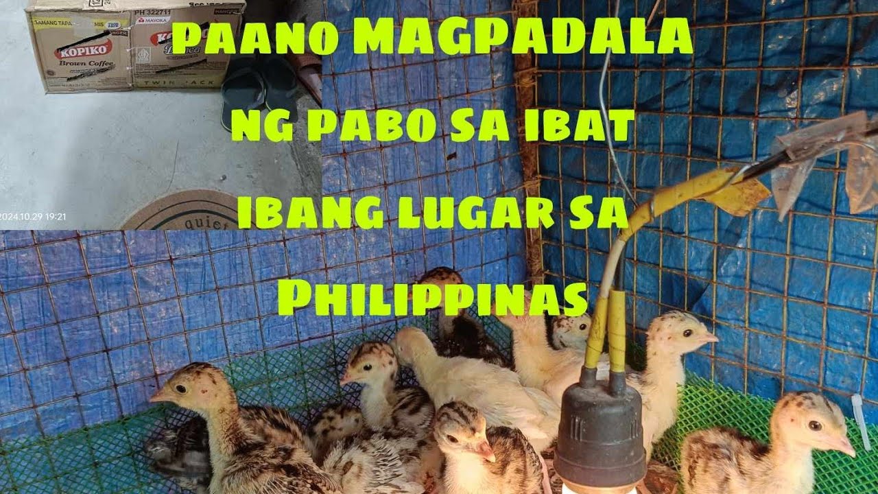 PAANO MAGPADALA NG PABO SA BUONG PHILIPINAS? - YouTube