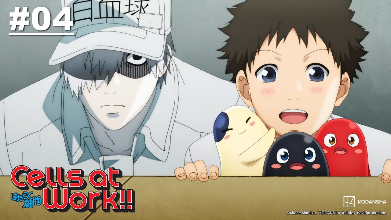 Cells at Work!! - Episode 04 (S2E04) [English Sub] - YouTube