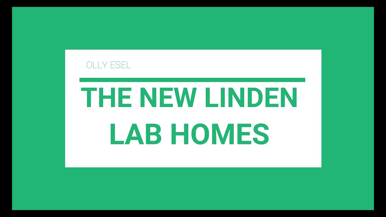 THE NEW LINDEN LAB HOMES- SECOND LIFE - YouTube