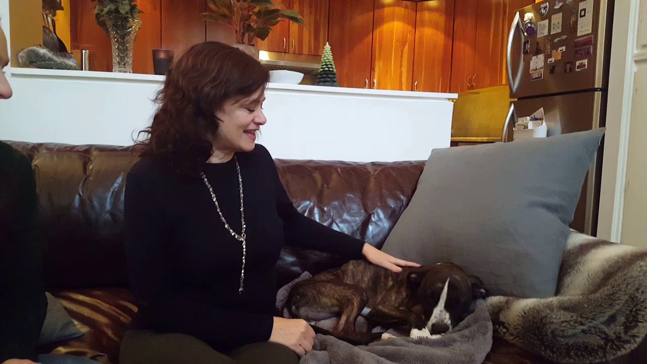 Sue Pike, The Animal Talker channeling Nyla, the Dog - YouTube