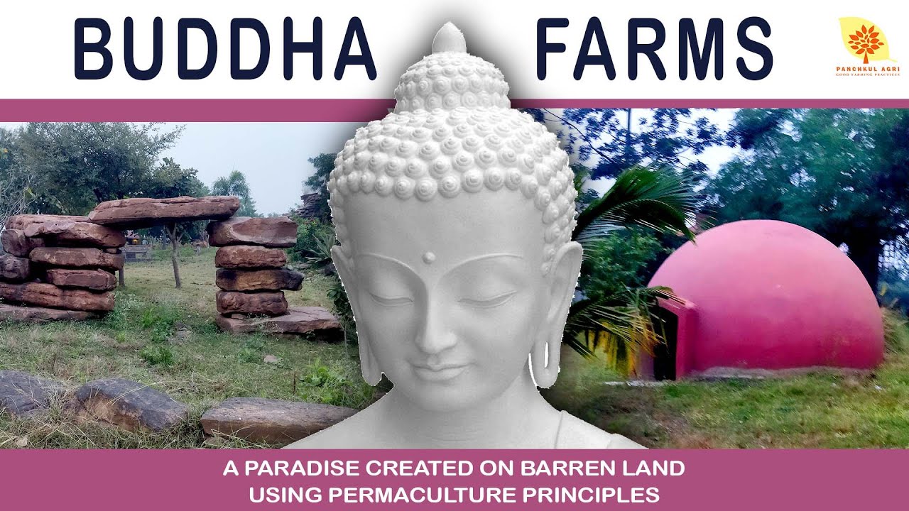 Buddha Farms (Bhopal) | A Paradise Created On Barren Land Using ...