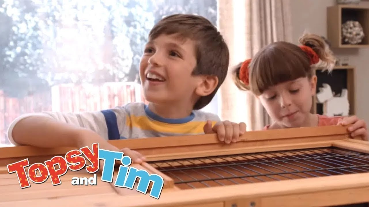 Büyük kutu & Bulucu arayanlar | Topsy ve Tim | Türk Çocuk Çizgi ...