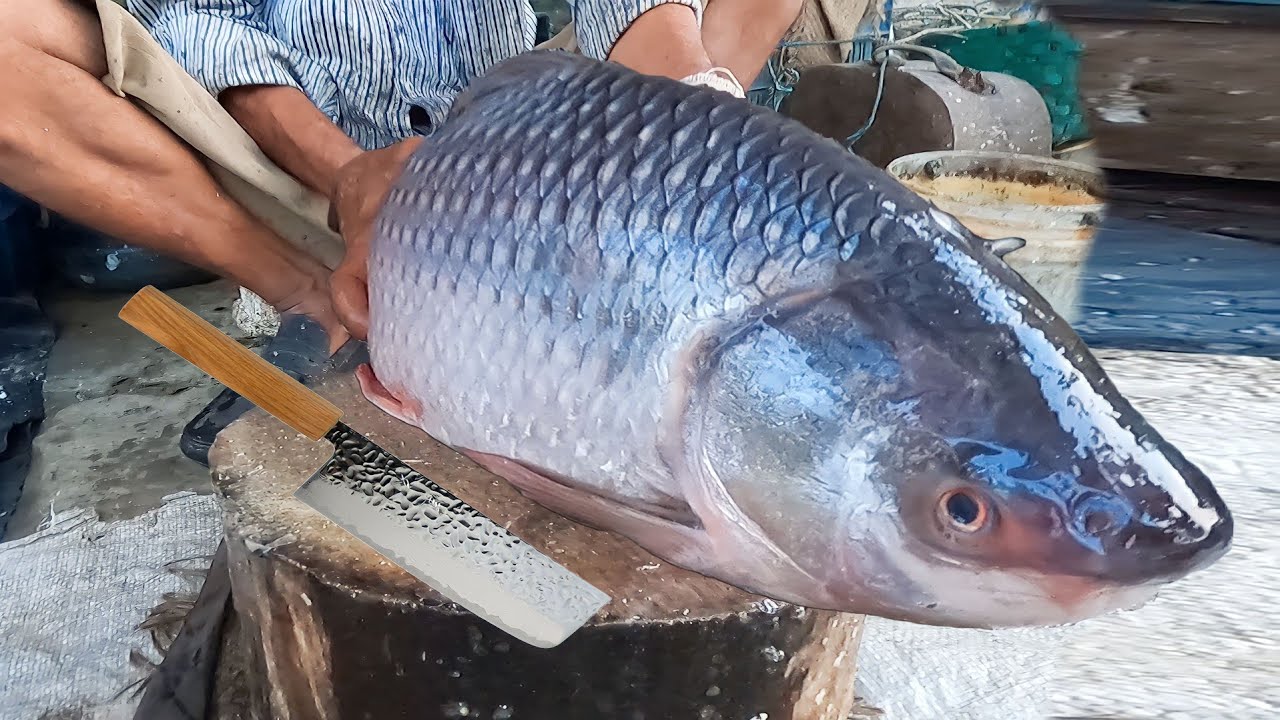 Big Rohu Fish Cutting By Expert Fish Cutter Man | Amazing Rohu Fish ...