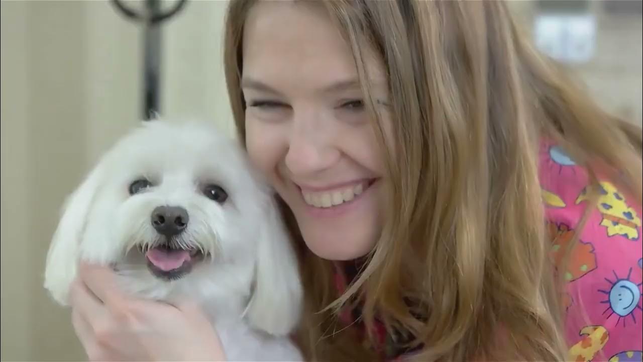 The Benefits of Microchipping Your Dog - YouTube