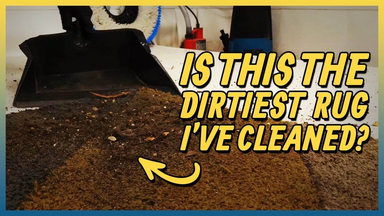 Rug looks like its been buried for 10 Years ! - YouTube