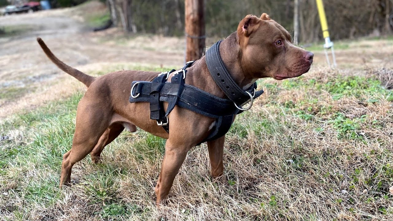 FATV LIVE LIVE LIVE DECEMBER 29 2022 - YouTube