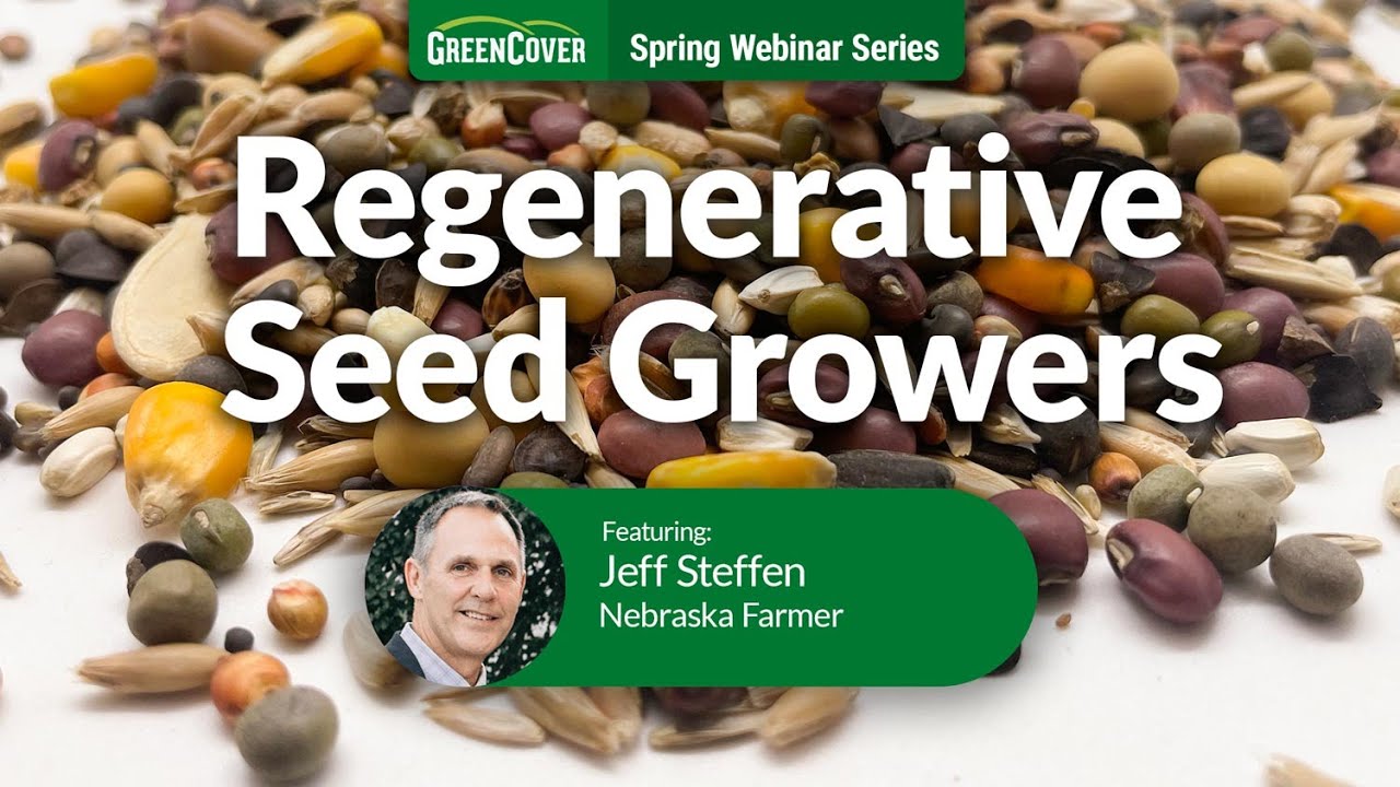 Regenerative Seed Growers: Jeff Steffen - YouTube