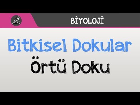 Bitkisel Doku - Örtü Doku