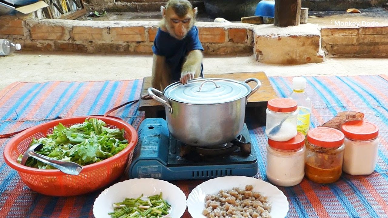 Really Amazing Chef Dodo Cooking Taiwan Bok Choy With Fish Meatballs ...