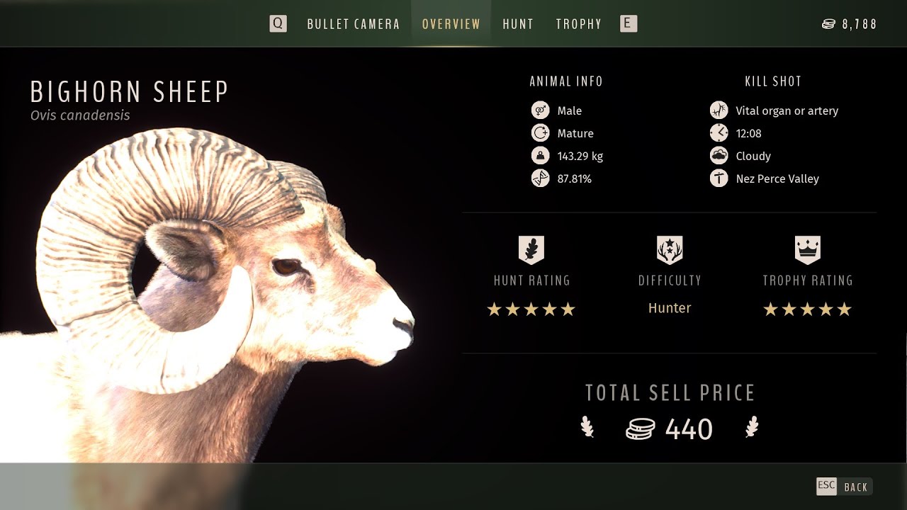 Way of the Hunter: Big ram heart shot - YouTube