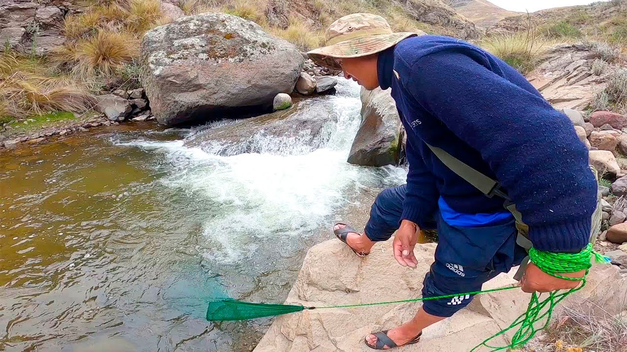 PESCA DE PEZ TRUCHAS EN RÍO - pesca de truchas con atarraya en río ...