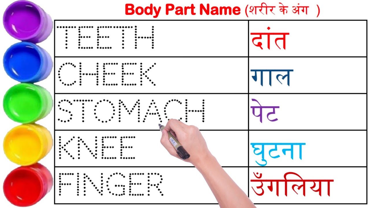 Body Parts Names for Kids | Learn Body Parts | Educational Video for ...