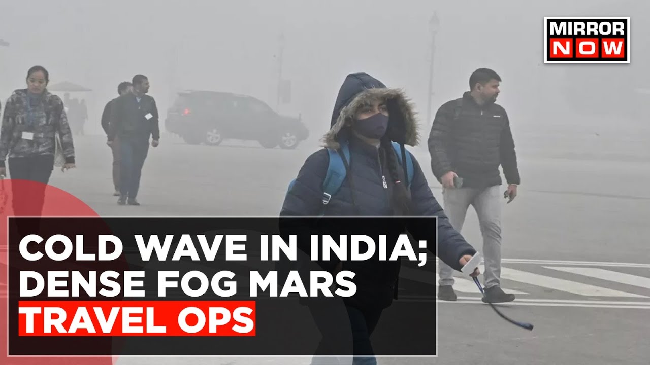 Cold Wave In India | Dense Fog Mars Travel Ops | 18 Delhi-Bound Trains ...
