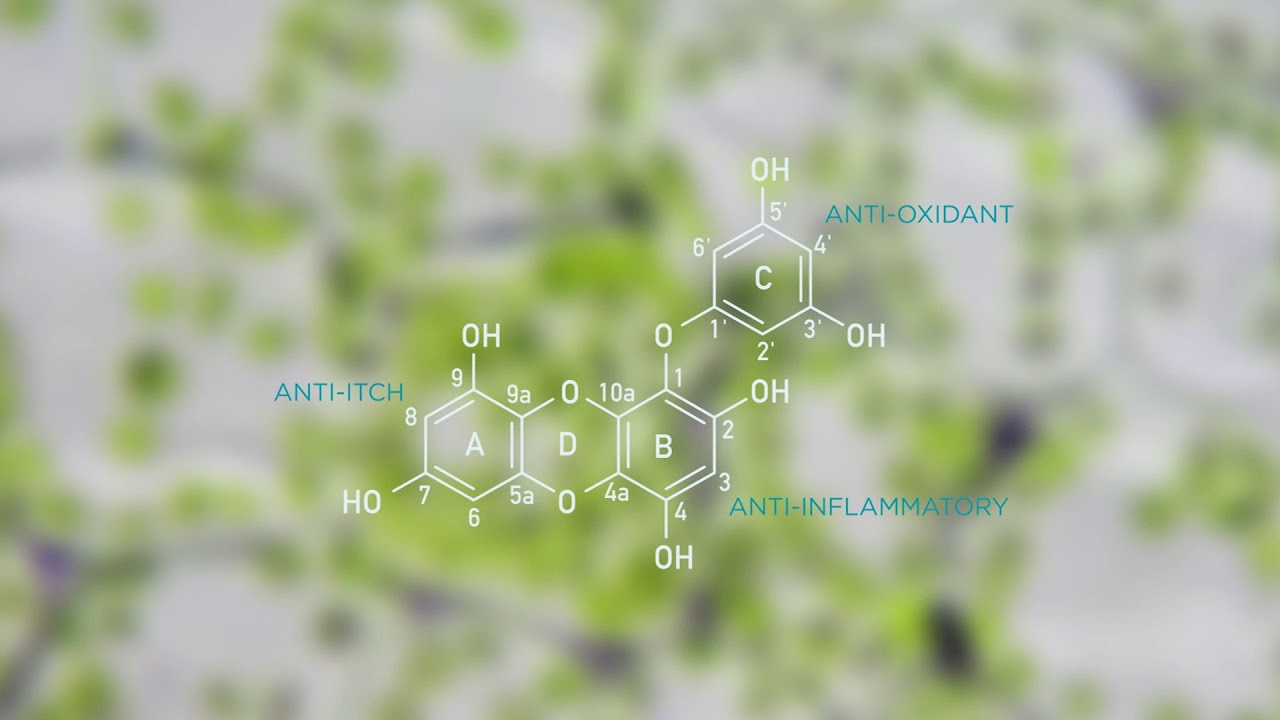 Dermikelp | Cortisone-free Itch Relief - YouTube