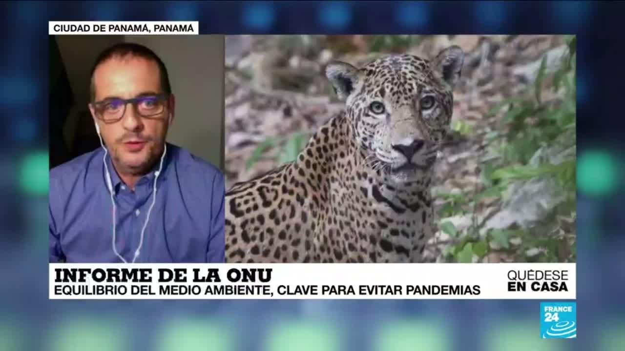 Francesco Gaetani: "El informe de la ONU está enfocado en la prevención ...