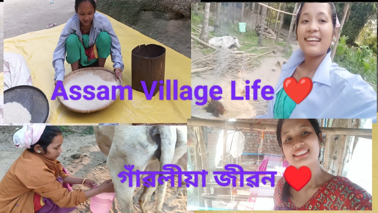 Assam Village Life//গাঁৱলীয়া জীৱন//সেউজীয়া অসম //জীৱ জন্তু#vlogs # ...